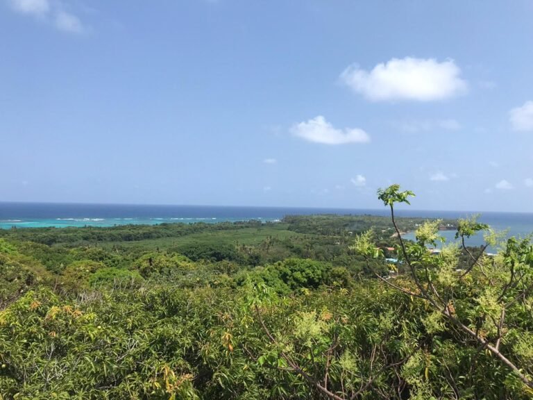 Corn Island o Islas del Maíz: Qué ver y qué hacer